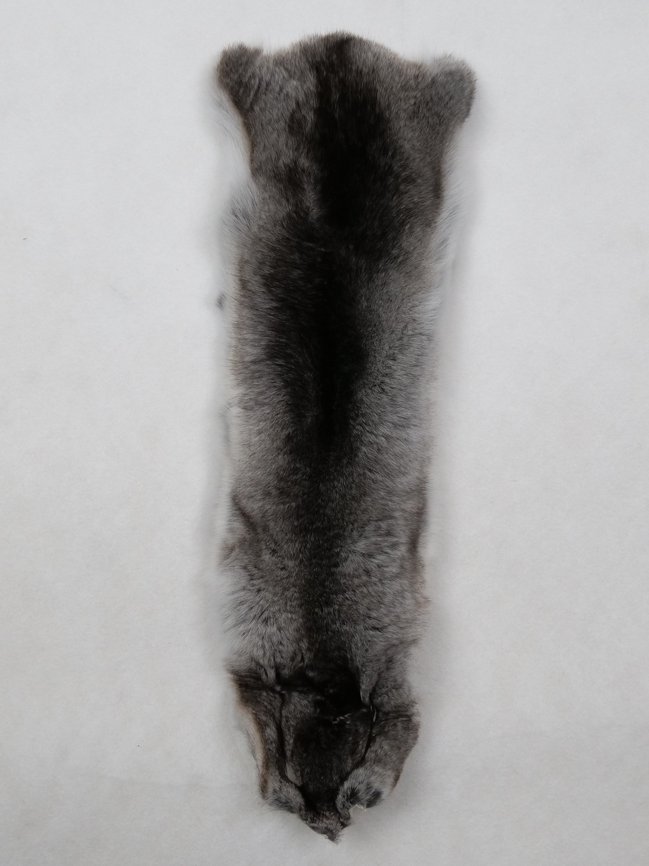 Chinchilla - Dressed Fur Skin - Fur – Levinskyfurs